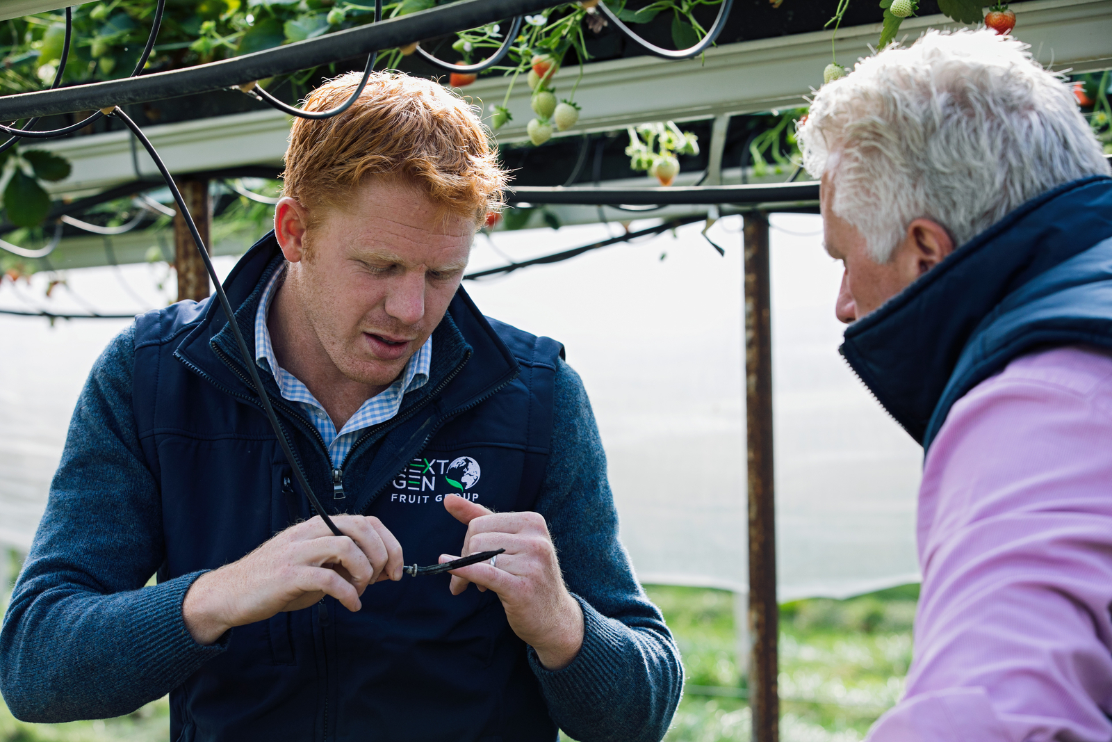 Over ons - Alles over Netafim | Netafim